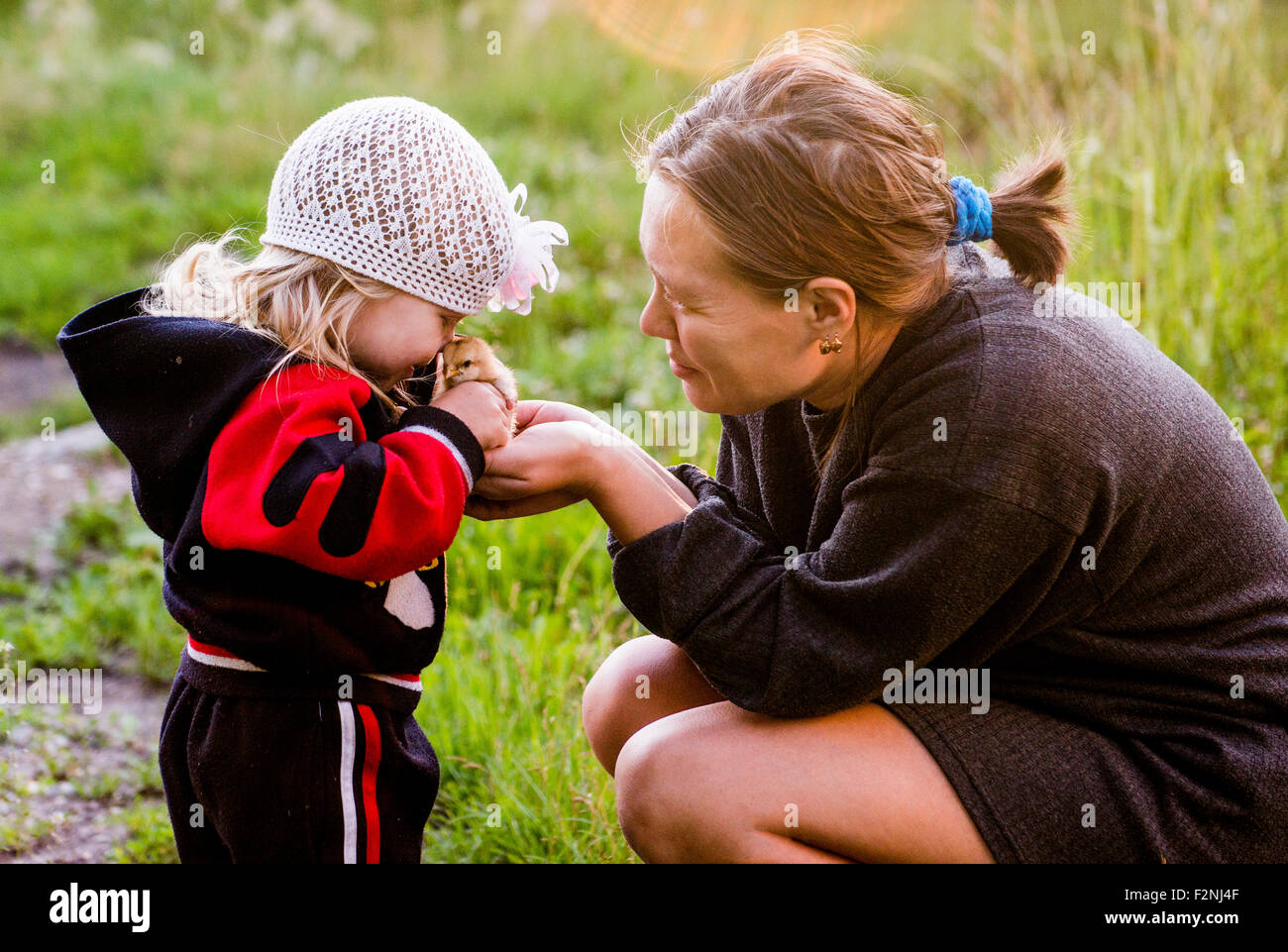 Caucasian mother and daughter playing with chick in garden Stock Photo ...