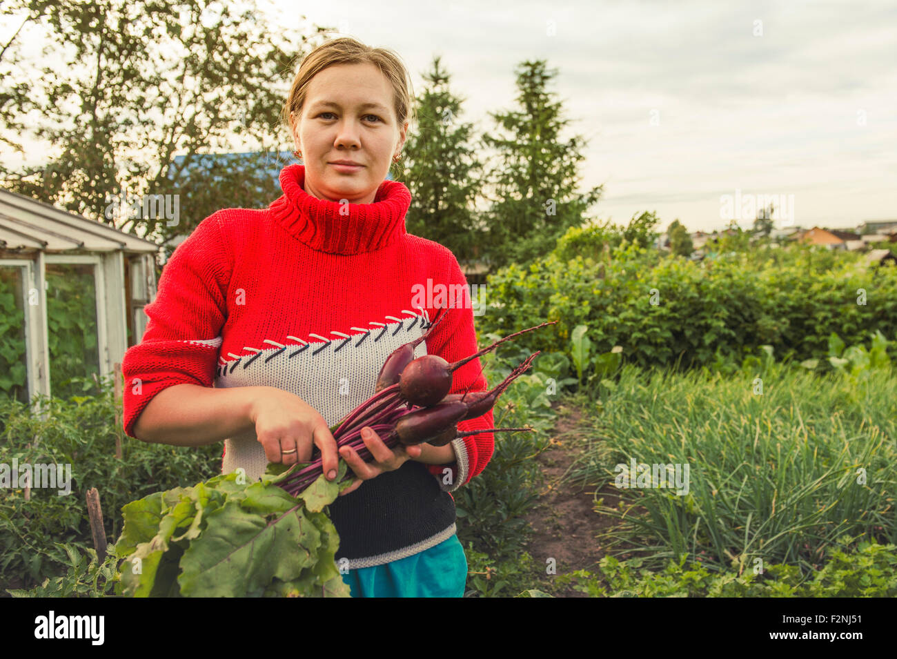 Farmer holding fresh beets hi-res stock photography and images - Alamy