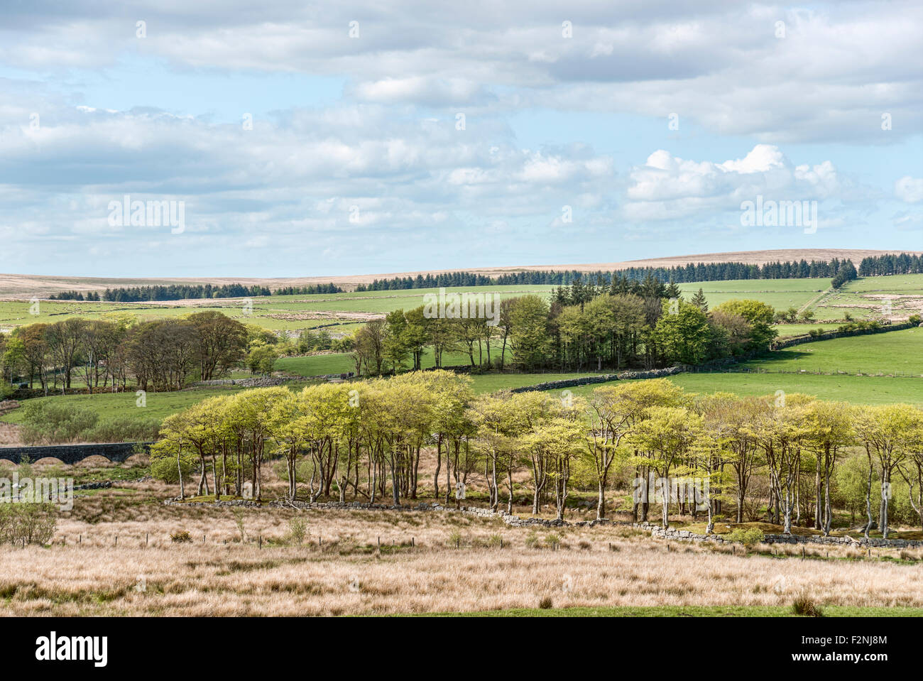 Dartmoor travel hi-res stock photography and images - Alamy