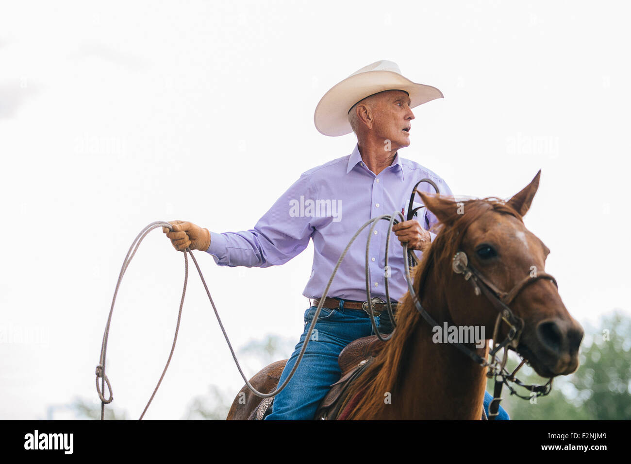 Caucasian cowboy riding horse in rodeo Stock Photo - Alamy