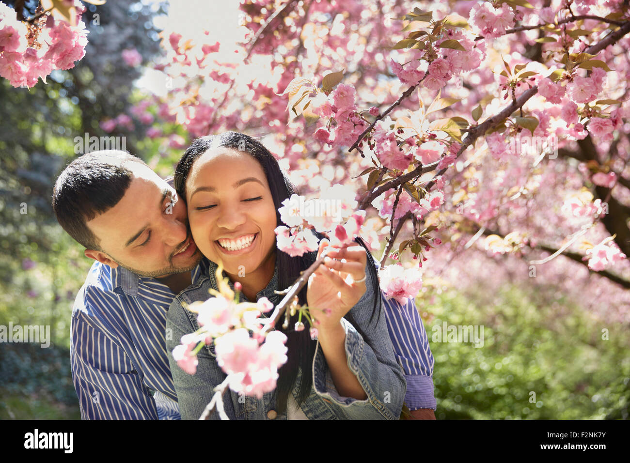 Couple admiring flowering tree in park Stock Photo - Alamy