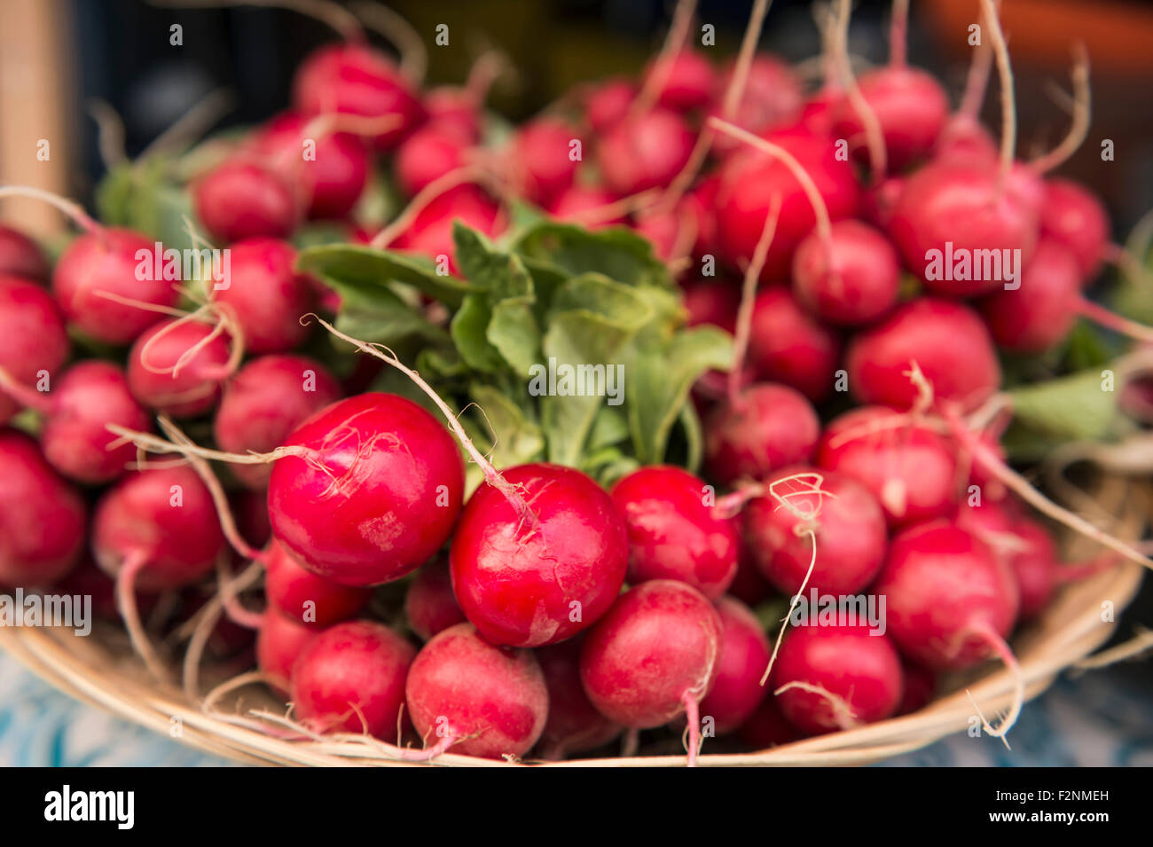 Close up of bunches of radishes Stock Photo - Alamy