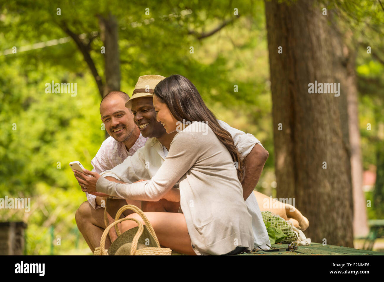 Friends using cell phone on picnic table Stock Photo - Alamy