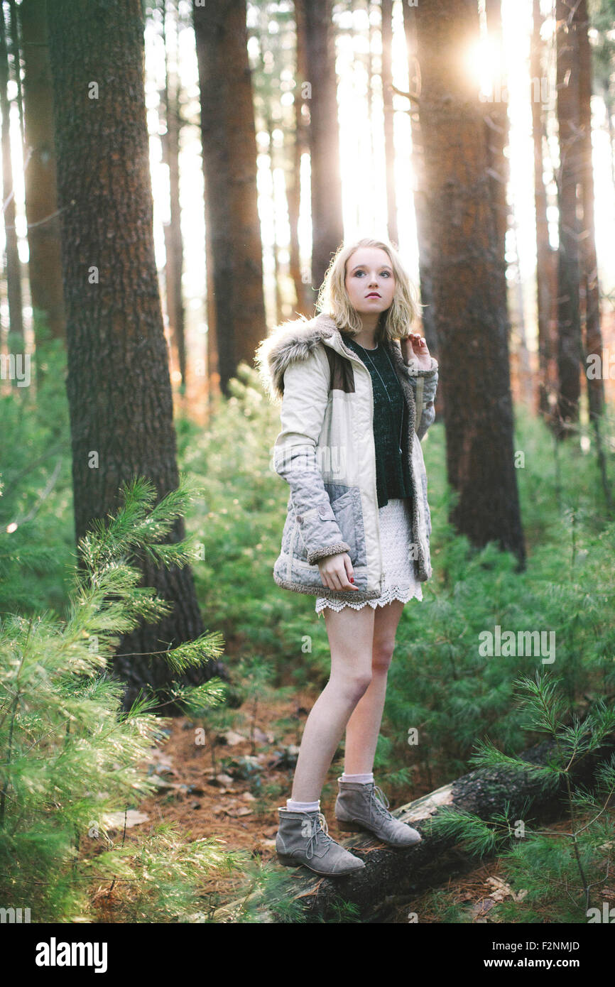 Tree log image hi-res stock photography and images - Alamy