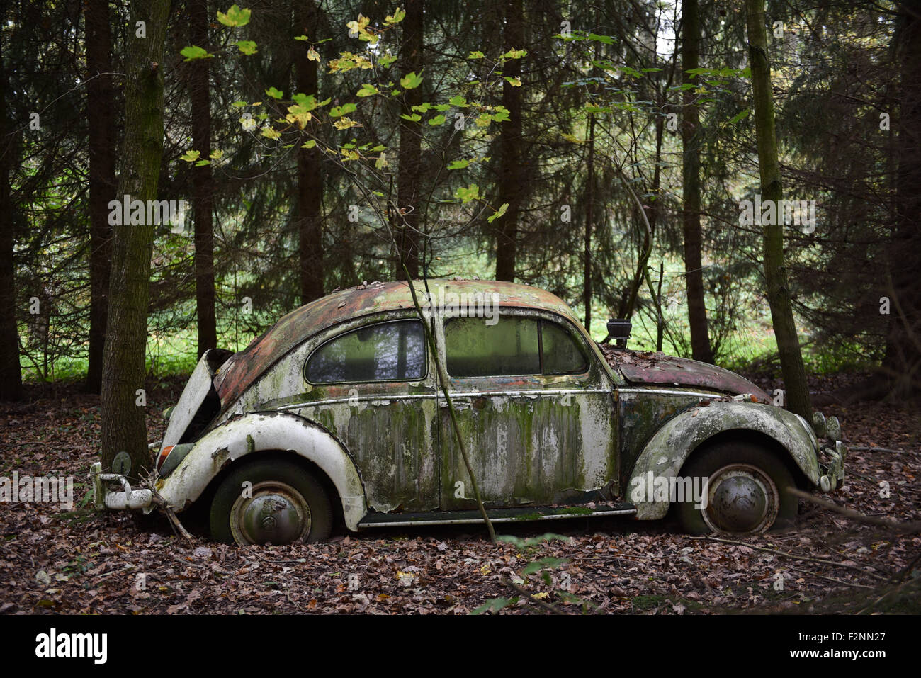 (File) A rusty Volkswagen Beetle turned into an art project is seen on ...