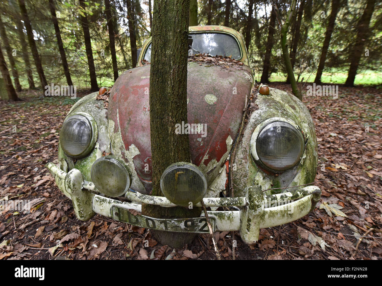 Rusty Volkswagen Beetle High Resolution Stock Photography and Images - Alamy