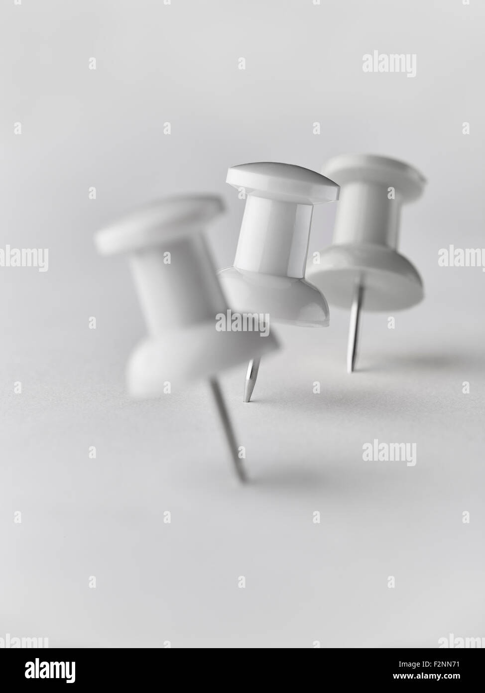 Three closeup close up hi-res stock photography and images - Alamy