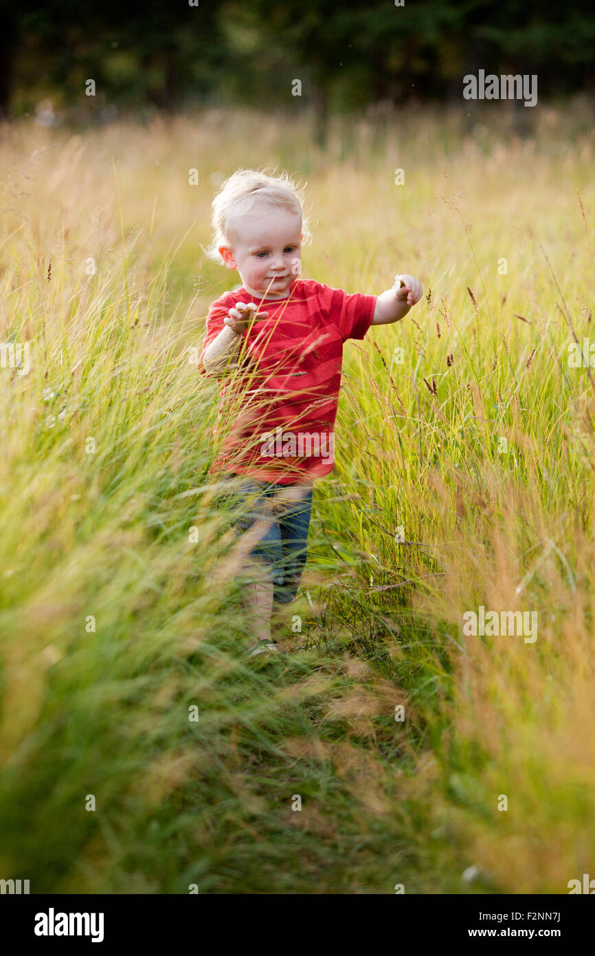 Children playing in tall grass hi-res stock photography and images - Alamy