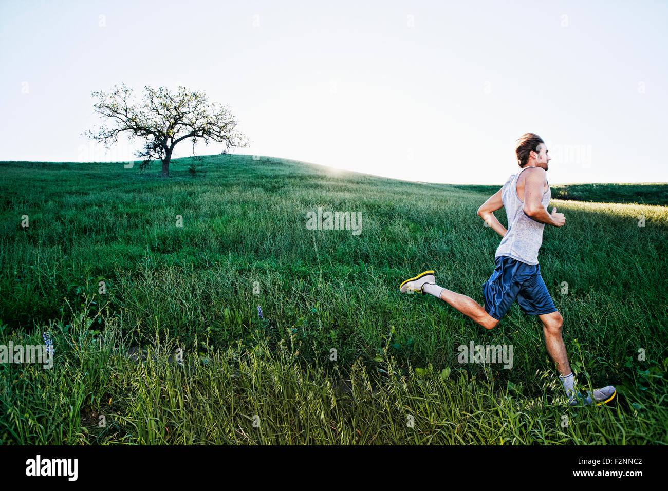 Caucasian athlete running on rural trail Stock Photo - Alamy
