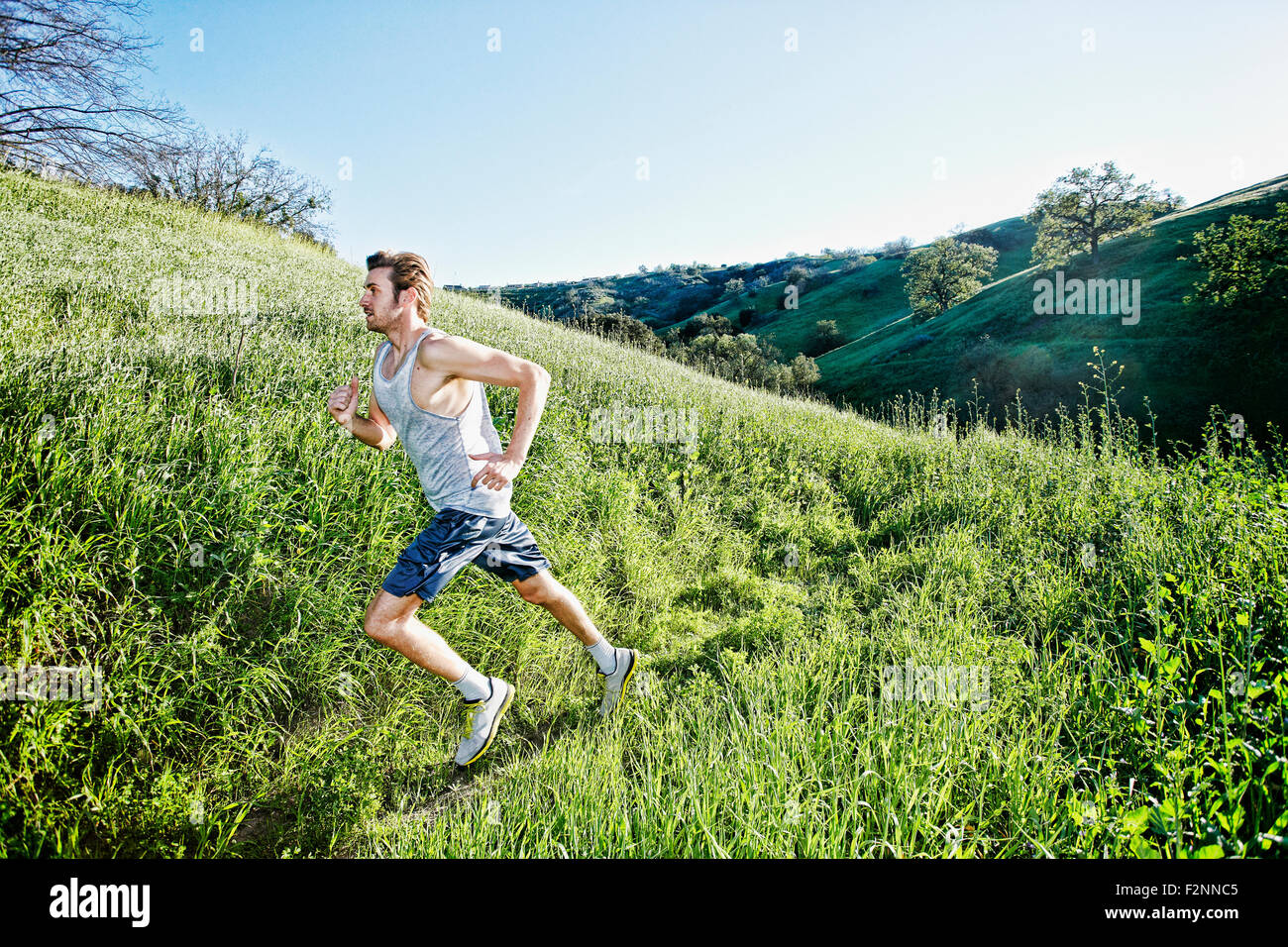 Athlete running hi-res stock photography and images - Alamy
