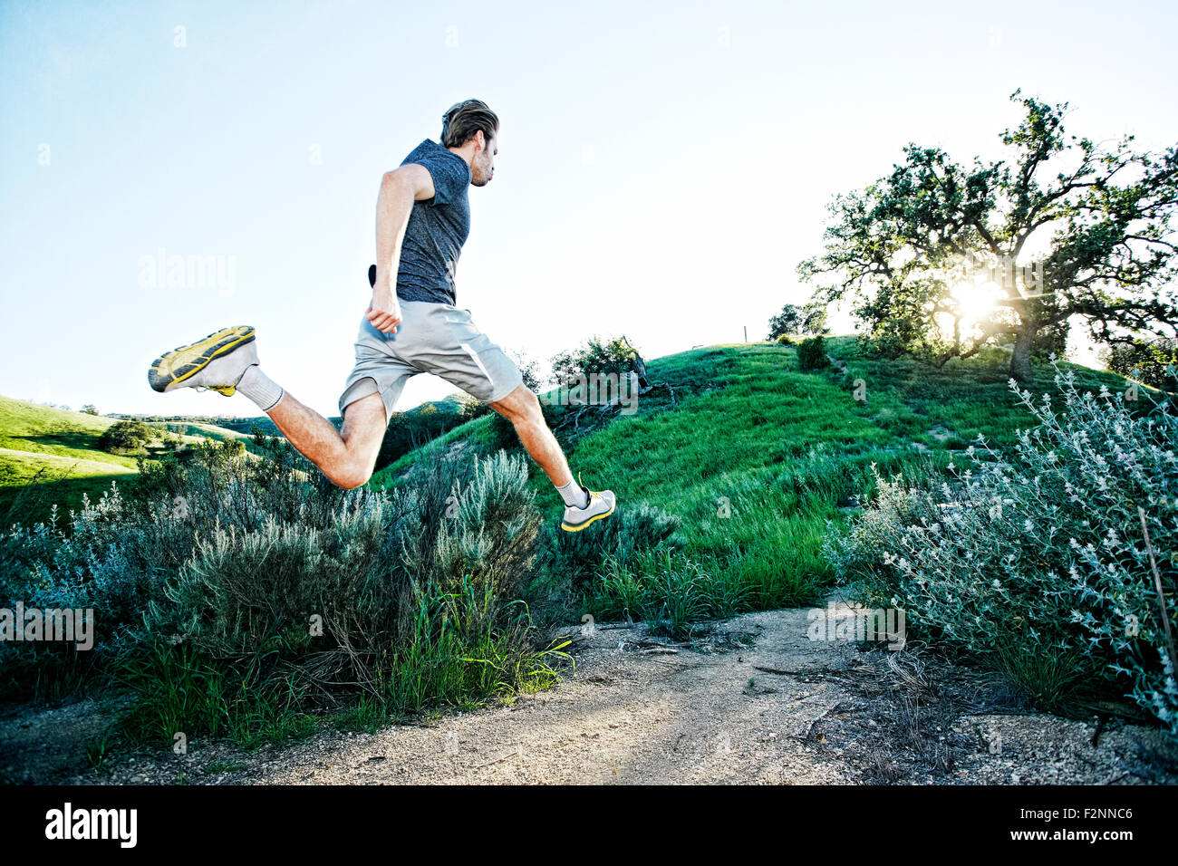 Athlete running hi-res stock photography and images - Alamy