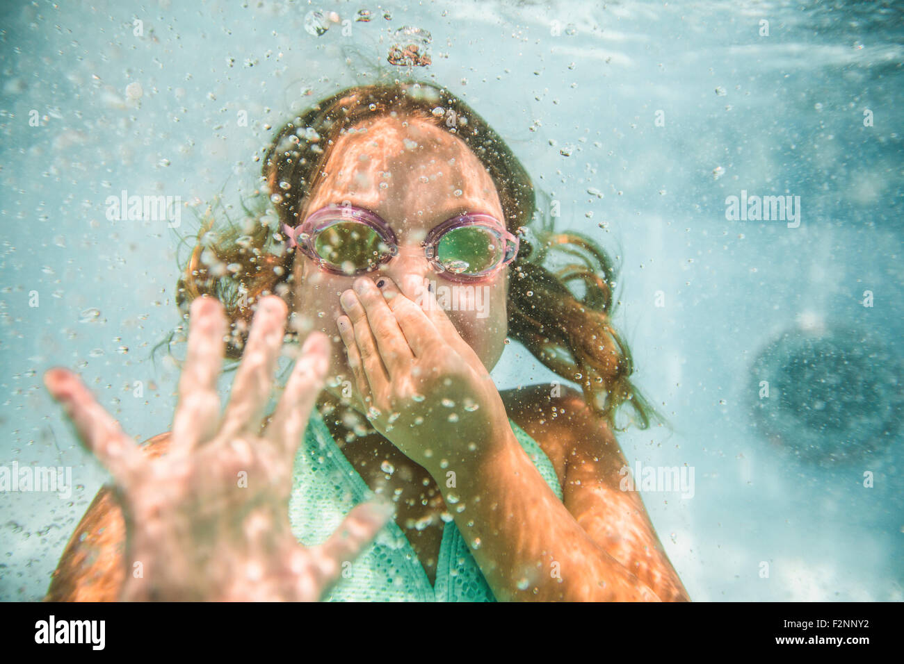 Wet Nose High Resolution Stock Photography and Images - Alamy