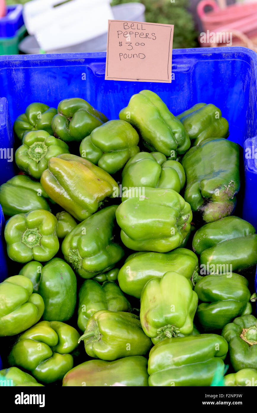 Green fresh bell peppers at a farmers market Stock Photo - Alamy
