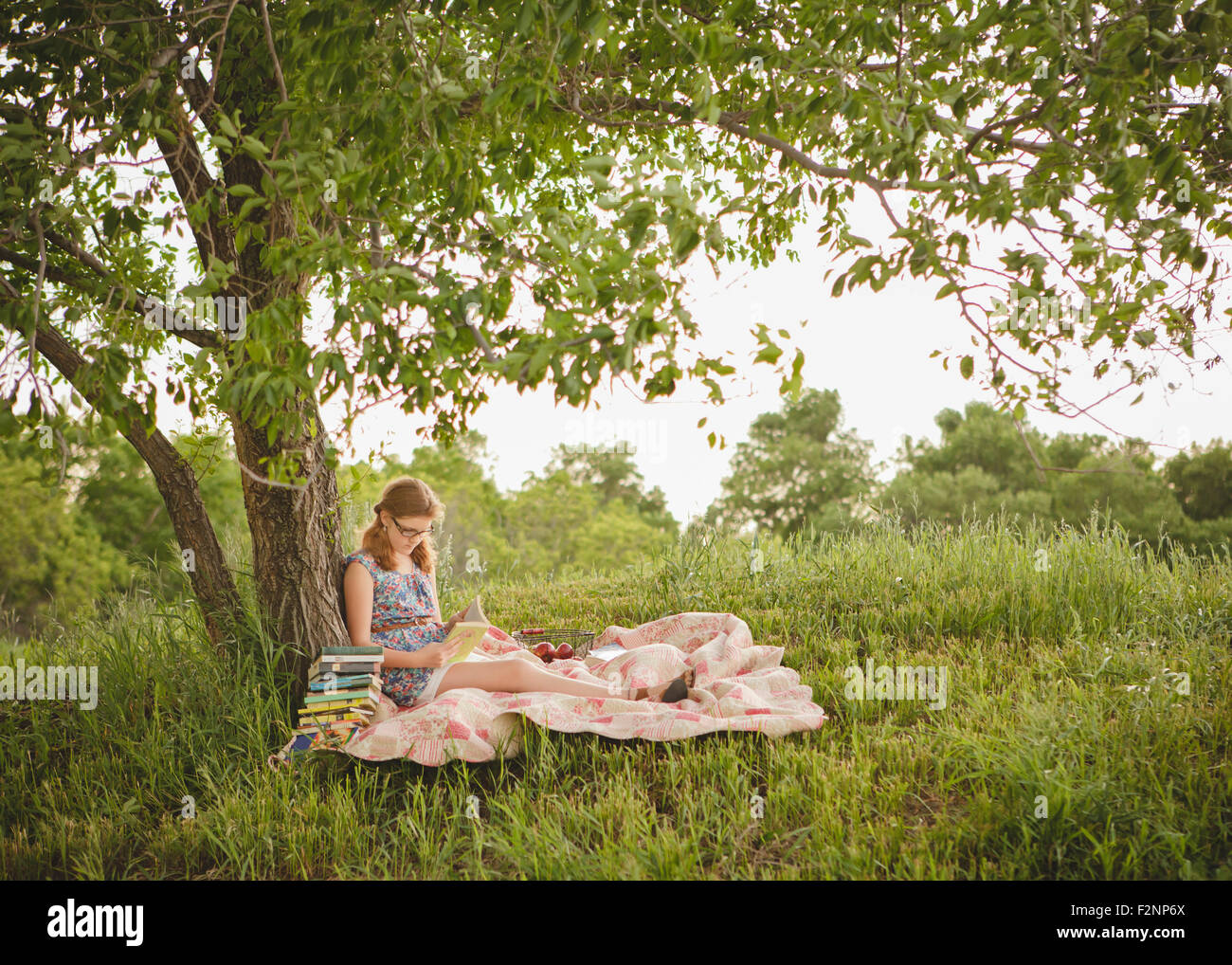 Caucasian girl reading book under tree in field Stock Photo - Alamy