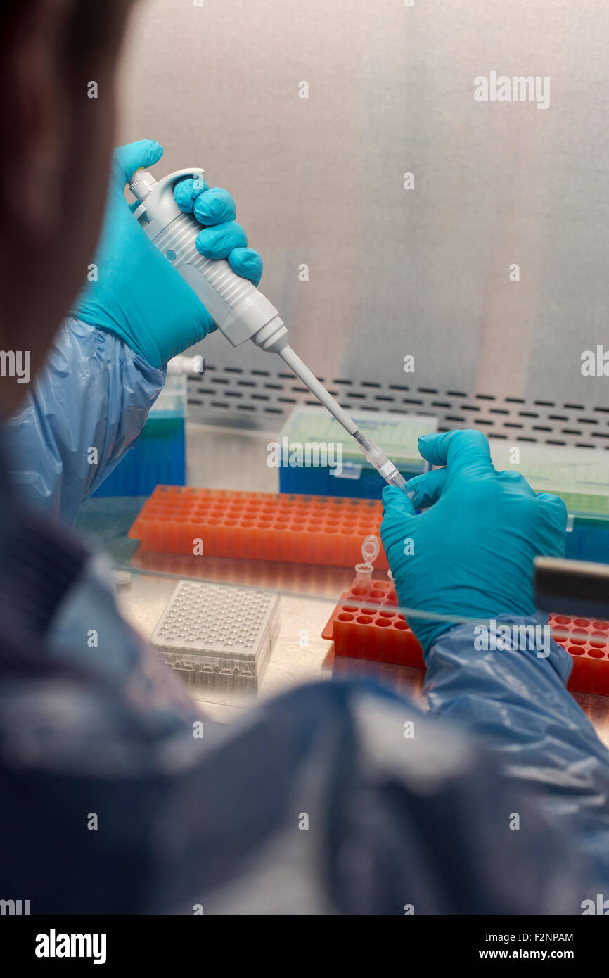 Mixed race scientist pipetting solution into test tubes in lab Stock ... Mixed race scientist pipetting solution into test tubes in lab Stock ...