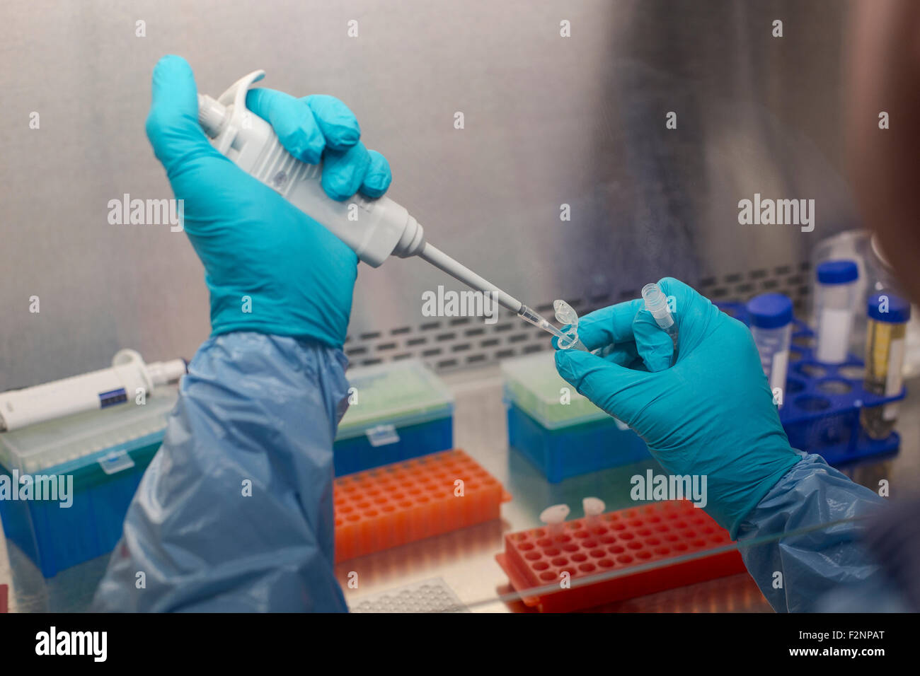 Mixed race scientist pipetting solution into test tubes in lab Stock ... Mixed race scientist pipetting solution into test tubes in lab Stock ...