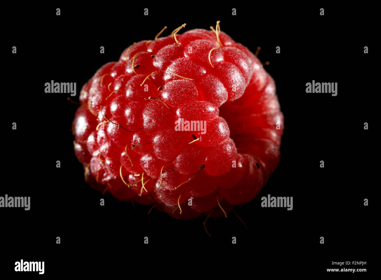 Raspberry close-up on black background Stock Photo - Alamy