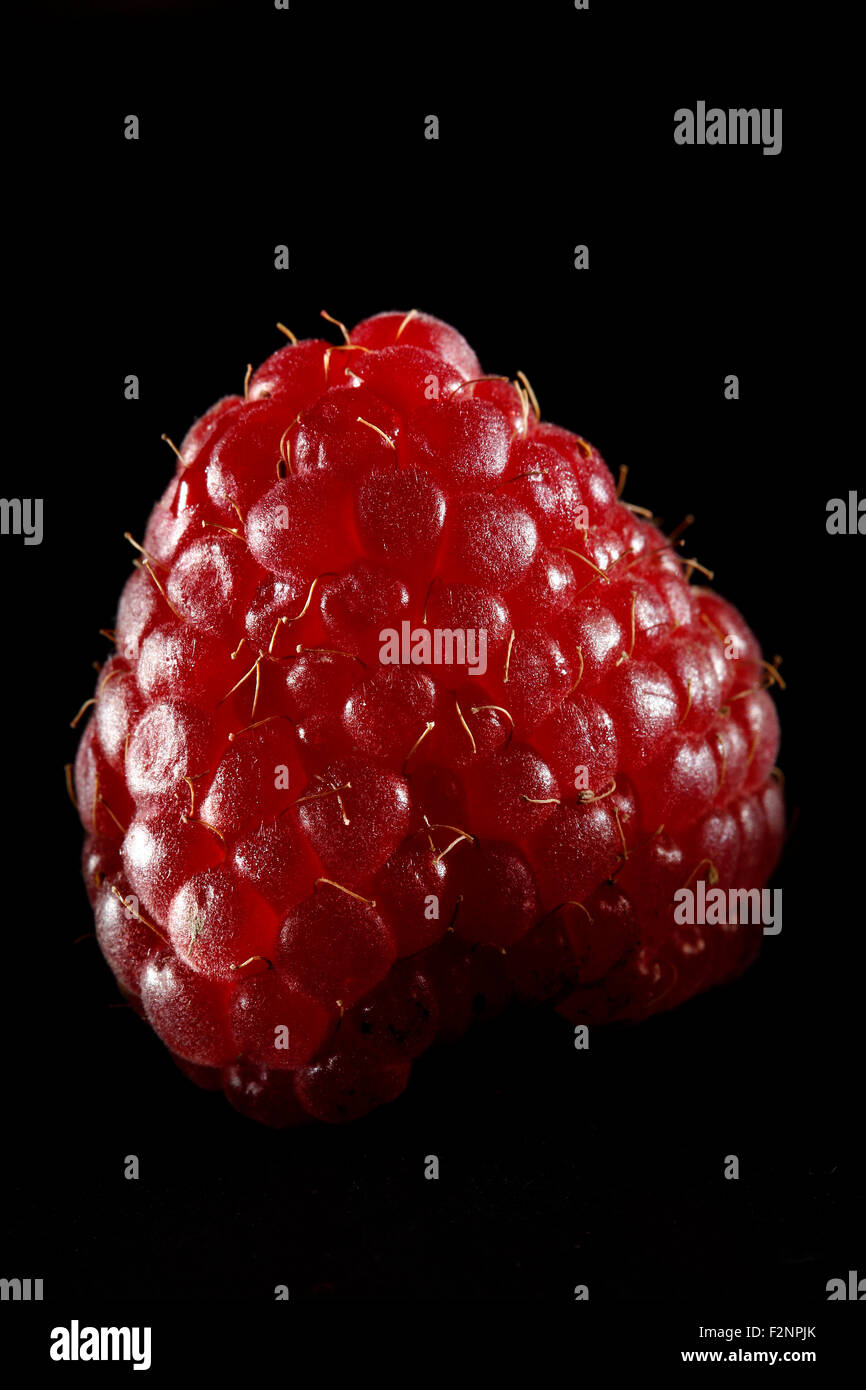 Raspberry close-up on black background Stock Photo - Alamy