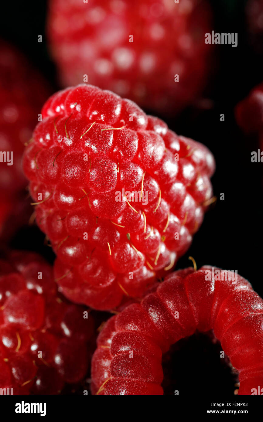 Black raspberry flavor hi-res stock photography and images - Alamy