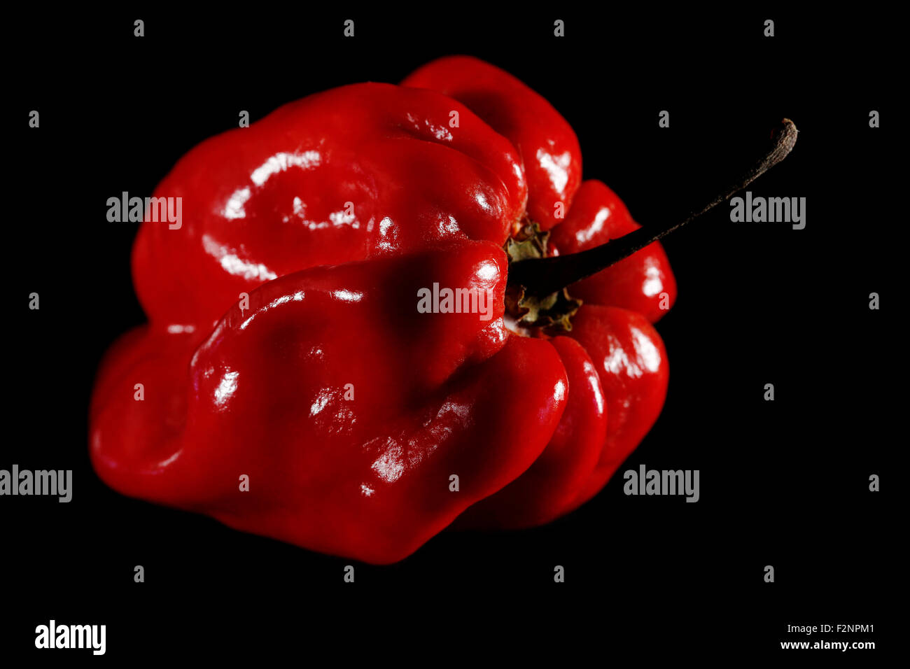 Hot pepper close up hi-res stock photography and images - Alamy