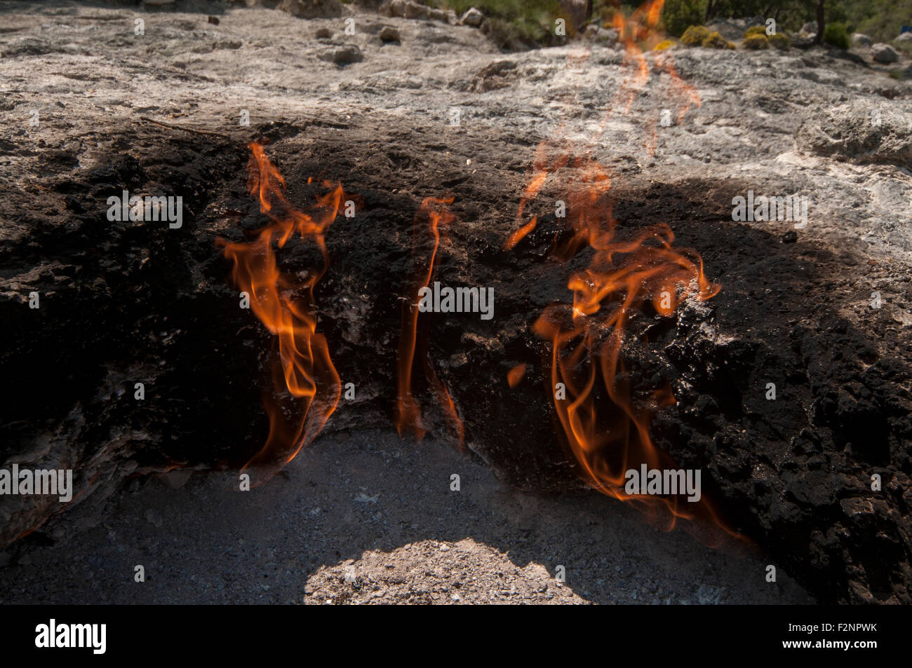 Burning fires at the Mount Chimaera or Yanartas near the village Çıralı ...