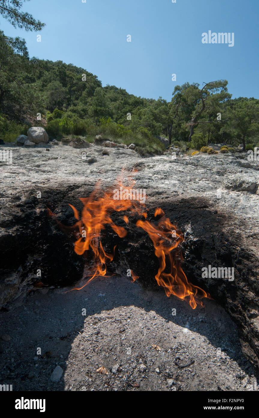 Burning fires at the Mount Chimaera or Yanartas near the village Çıralı ...