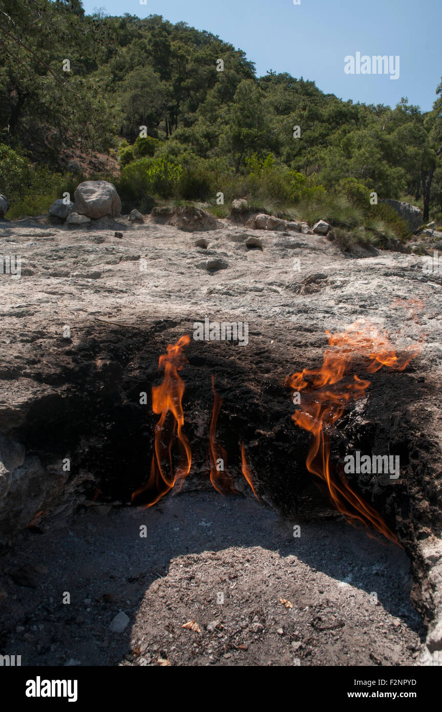 Burning fires at the Mount Chimaera or Yanartas near the village Çıralı ...