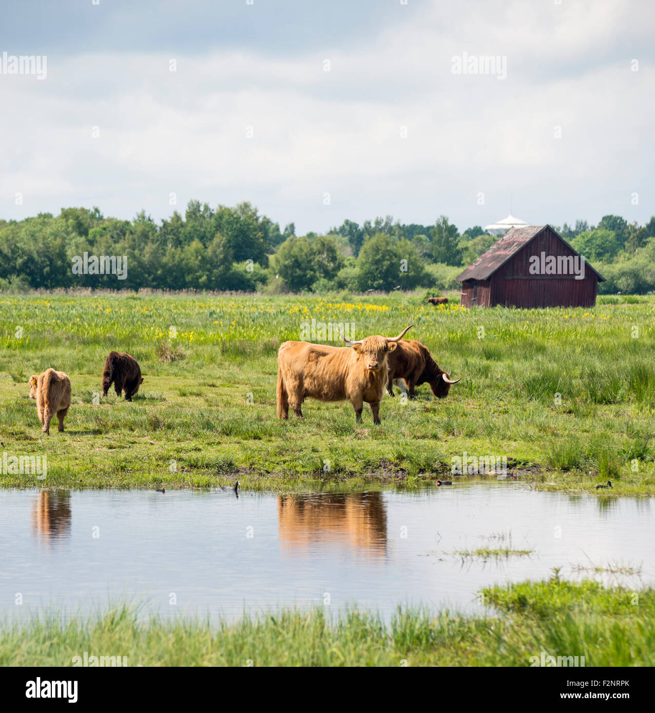 Strandang hi-res stock photography and images - Alamy