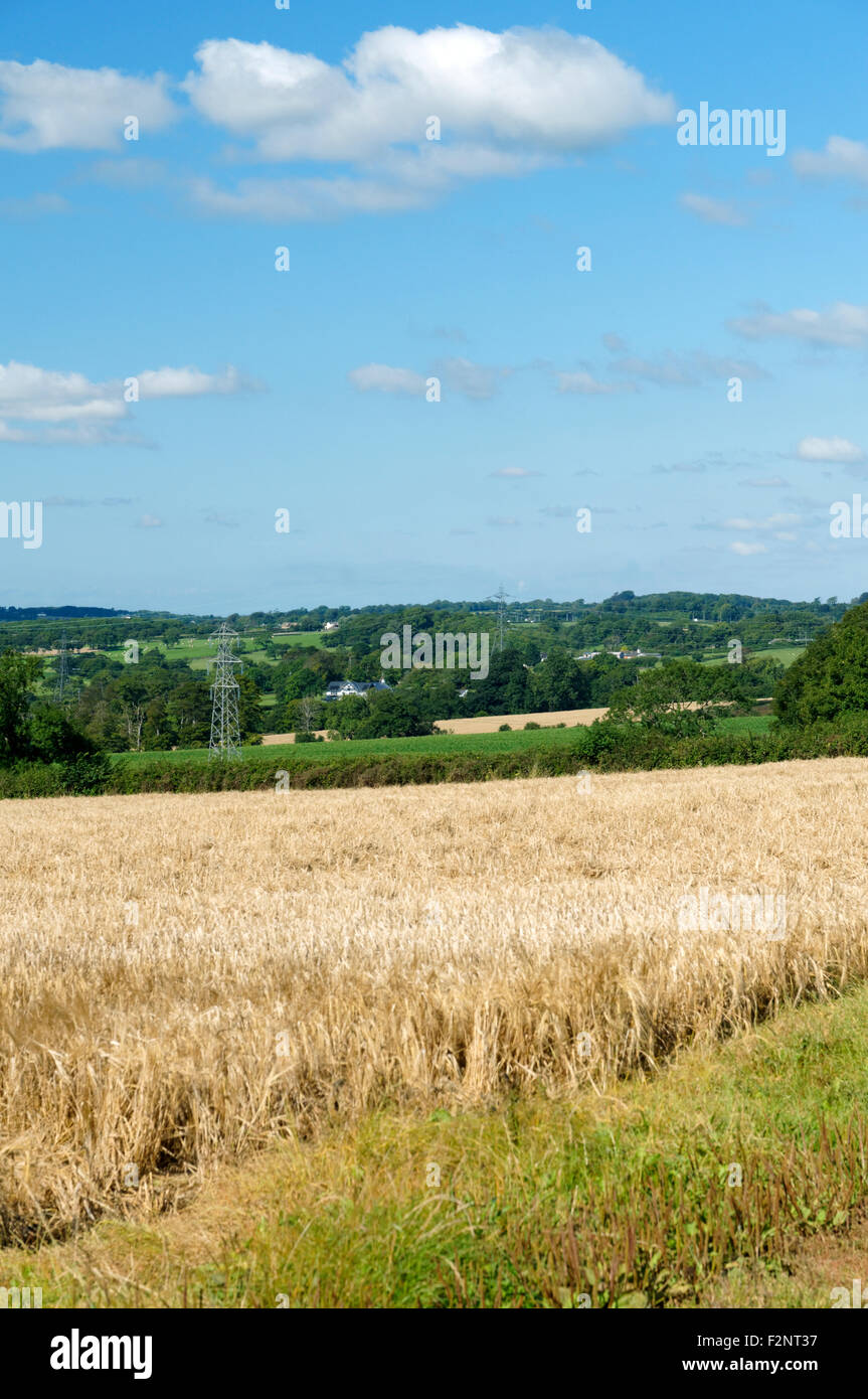 Charming rural wales hi-res stock photography and images - Alamy