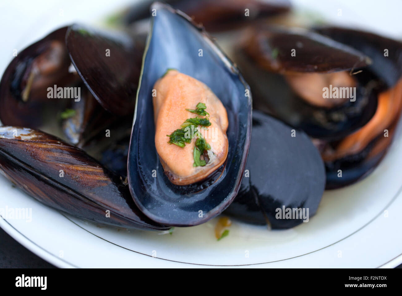 Steamed mussels cooked in hi-res stock photography and images - Alamy