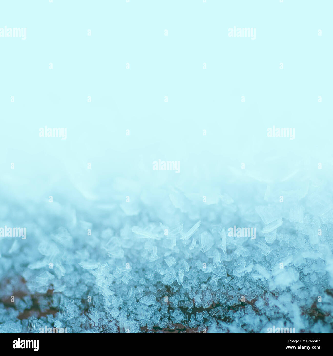Winter iced background Stock Photo - Alamy