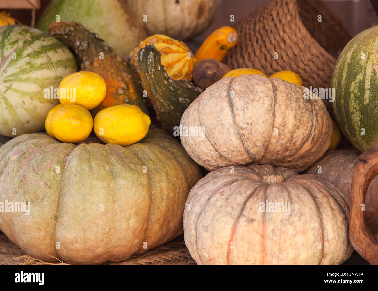 Halloween many carved pumpkins hi-res stock photography and images - Alamy