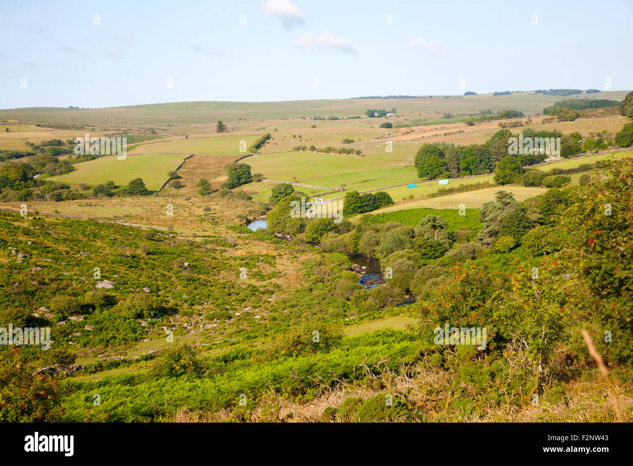 Rolling hills and valley stream, near Hexworthy, Dartmoor national park ...