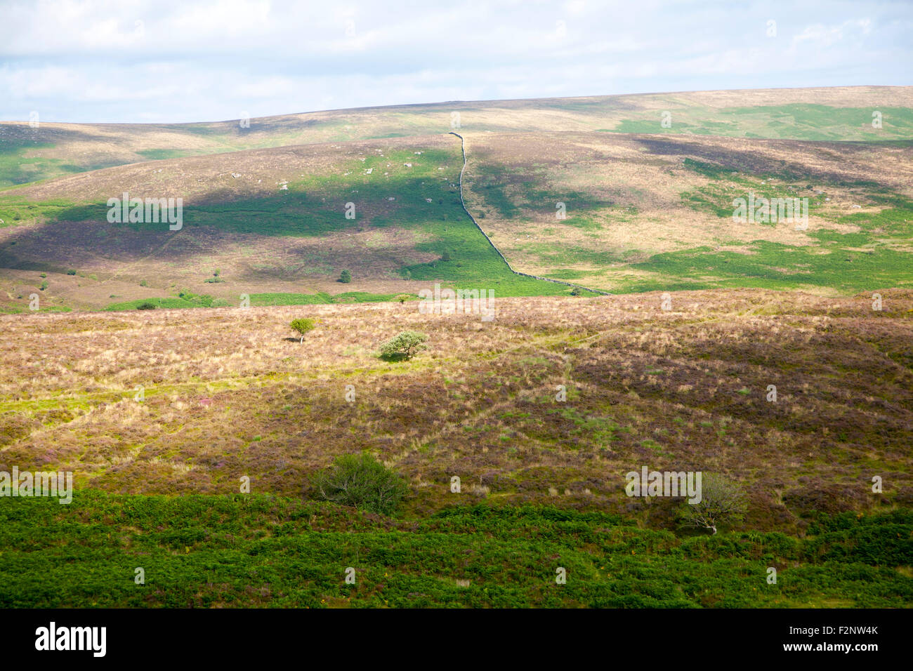 Moorland at the national park hi-res stock photography and images - Alamy