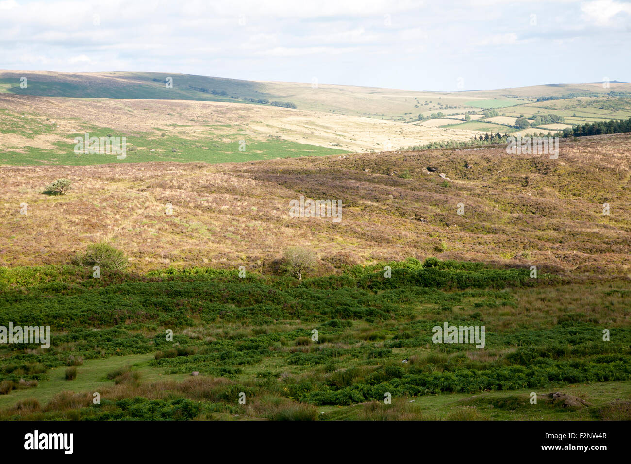 Moorland landscape, Dartmoor national park, near Postbridge, Devon ...