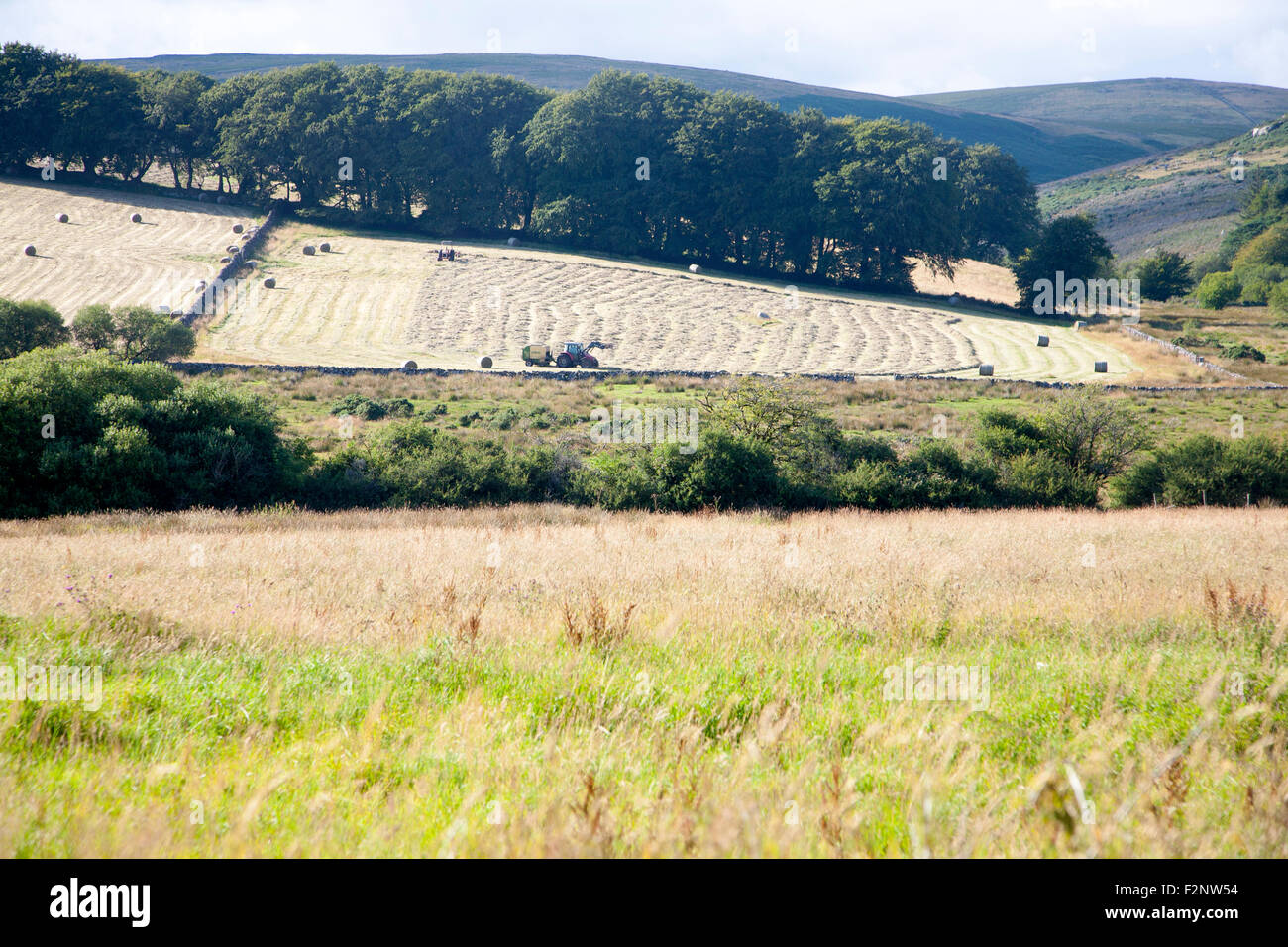 Moorland farming landscape, Dartmoor national park, near Postbridge ...