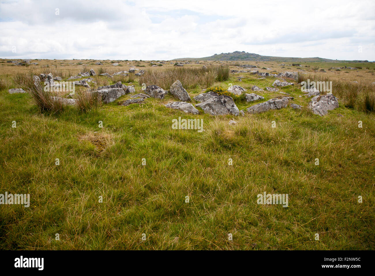 Stone hut circle at the Merrivale ceremonial complex Dartmoor national ...