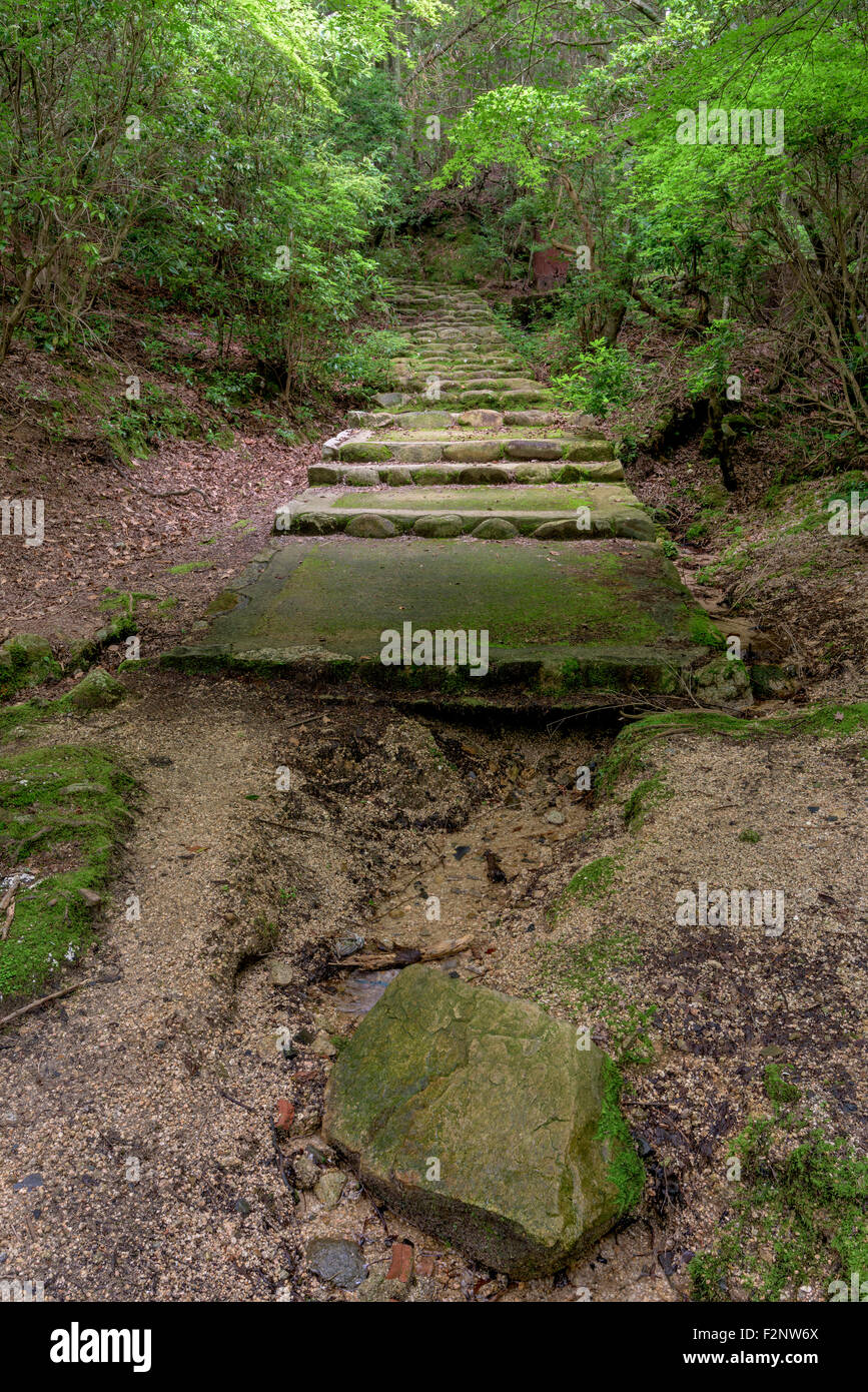 Path to a Japanese temple Stock Photo - Alamy