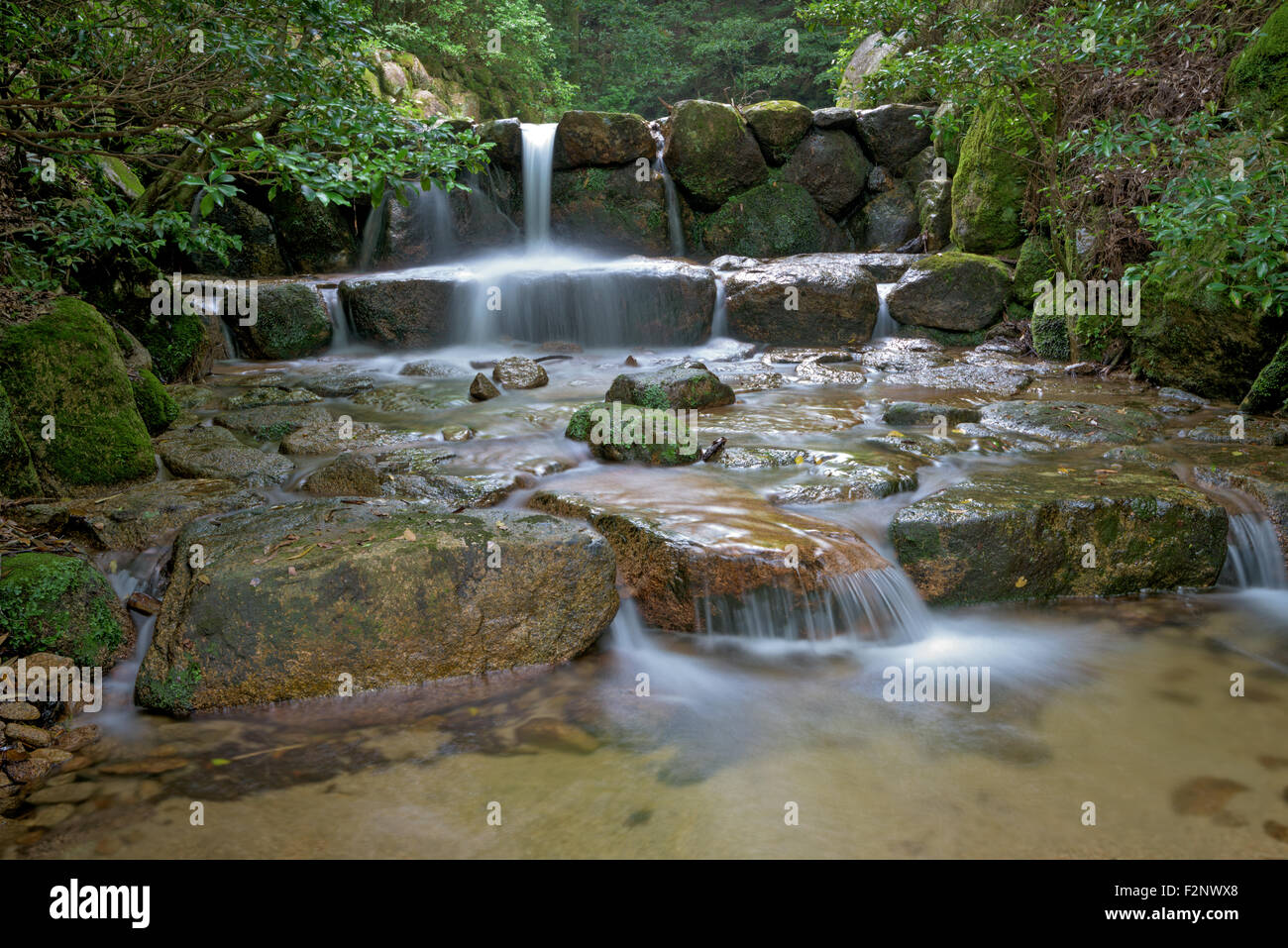 Stream with water fall in a Japanese forest Stock Photo - Alamy