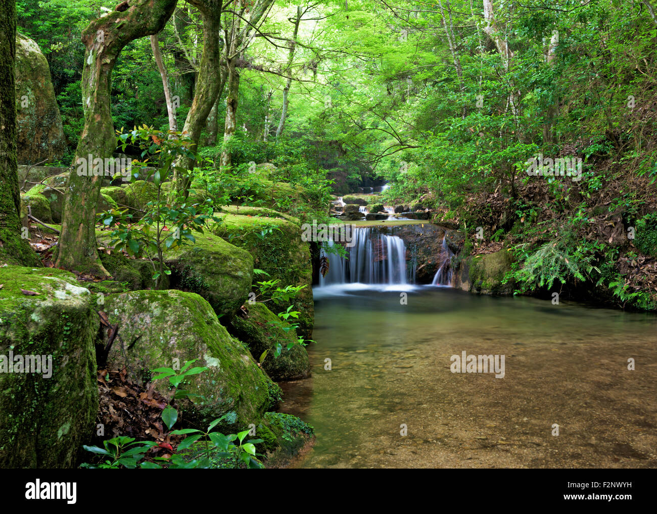 Intimate water fall Miyajima island Japan Stock Photo - Alamy