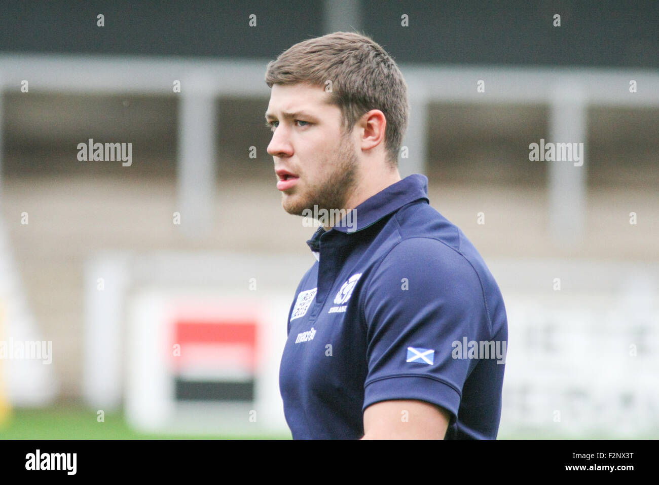 Grant gilchrist rugby 2015 hi-res stock photography and images - Alamy