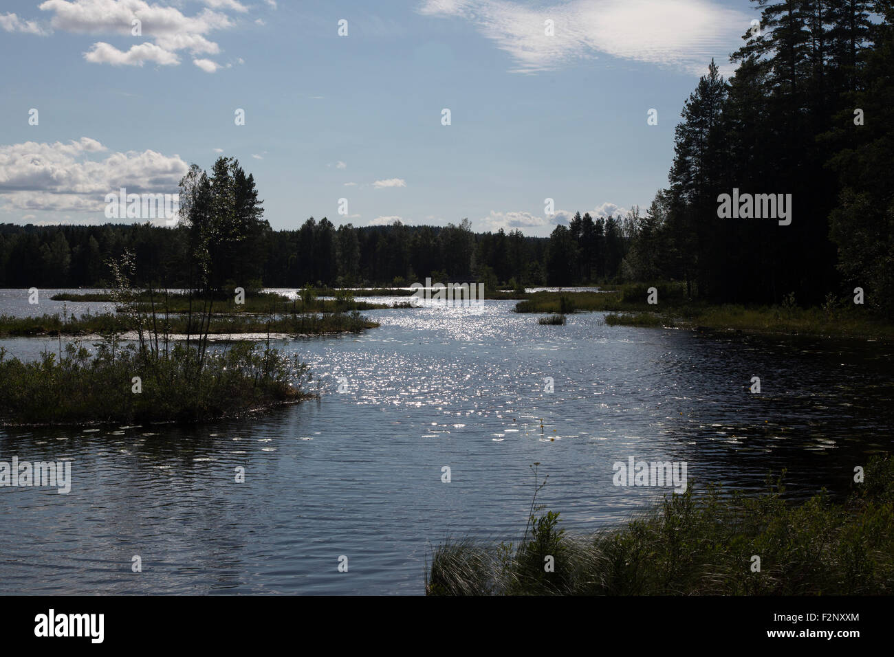 Backlit island in Swedish lake, Glaskogen Nature Reserve, Varmland ...