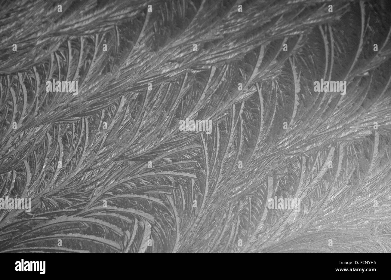 Dendritic pattern hi-res stock photography and images - Alamy