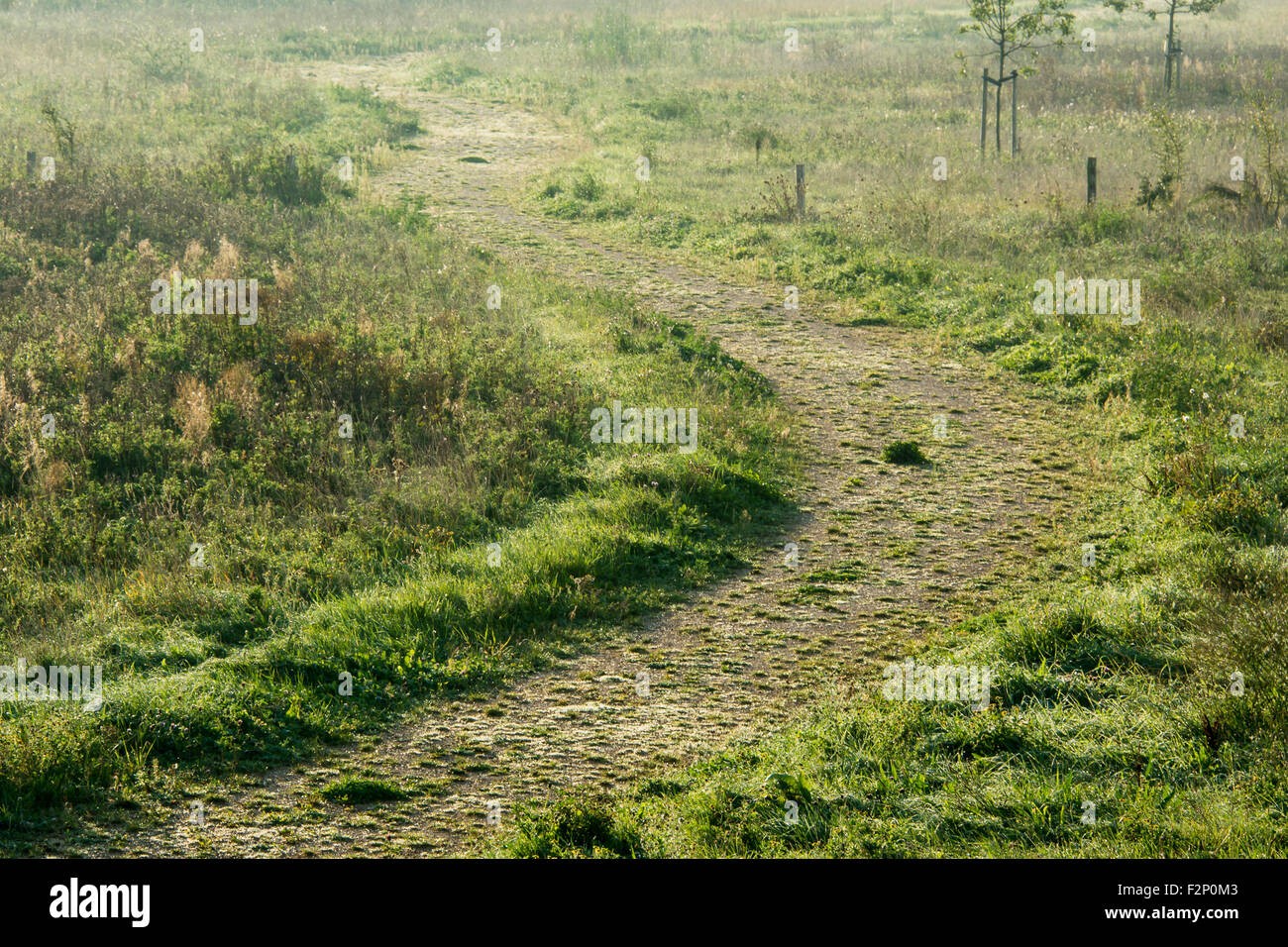 Rural landscape with path Stock Photo - Alamy