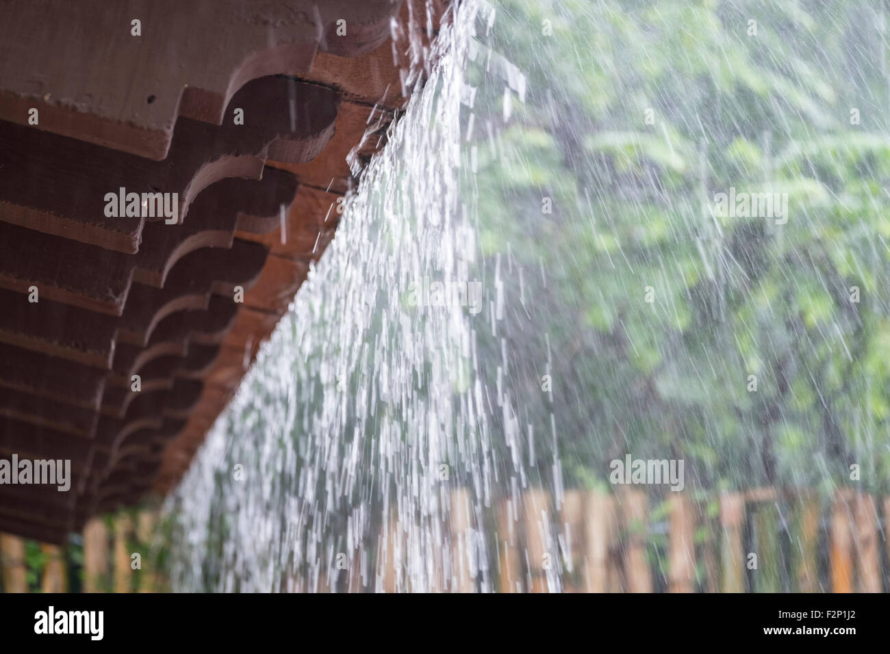 Mexico, Nayarit, heavy summer rain Stock Photo - Alamy