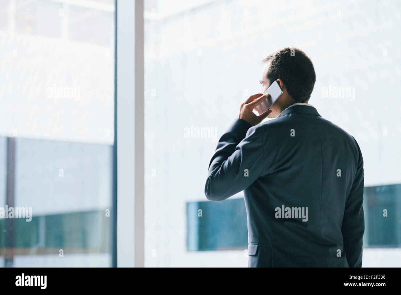 Back view of businessman talking on phone Stock Photo - Alamy