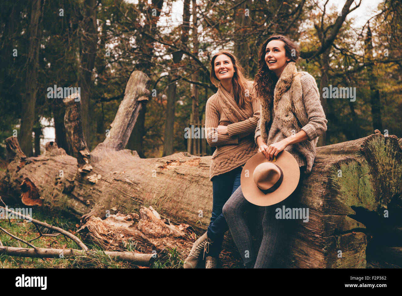 Two female friends leaning on tree trunk in an autumnal park Stock ...