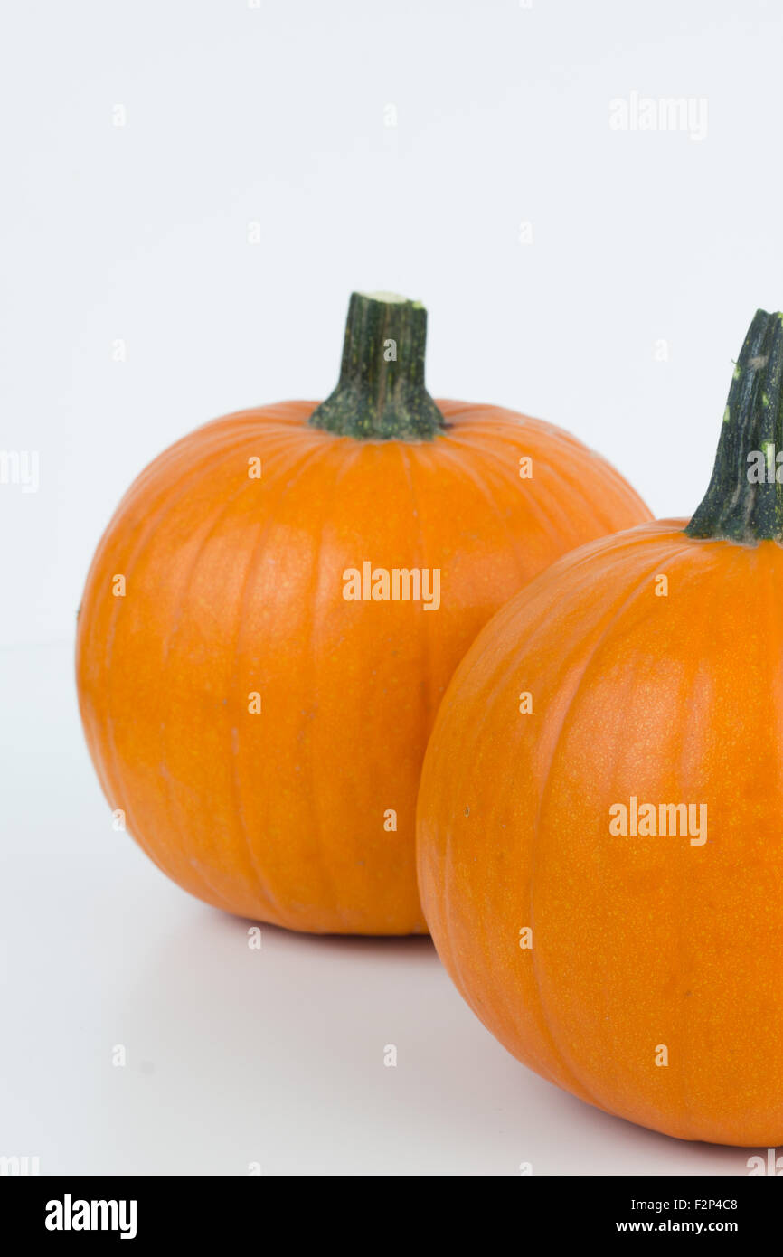 Closeup of one pumpkin isolated on white Stock Photo - Alamy