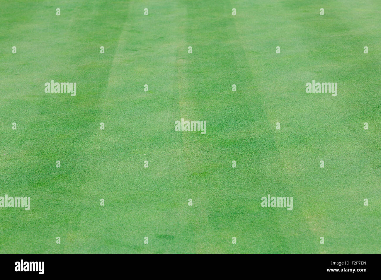 Perfect wavy ground with nice green grass on a golf field Stock Photo ...