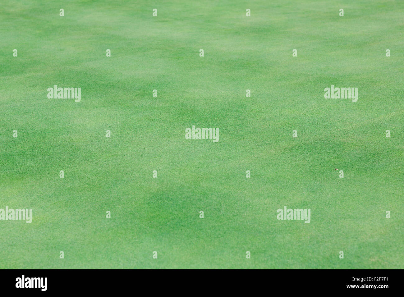 Perfect wavy ground with nice green grass on a golf field Stock Photo ...